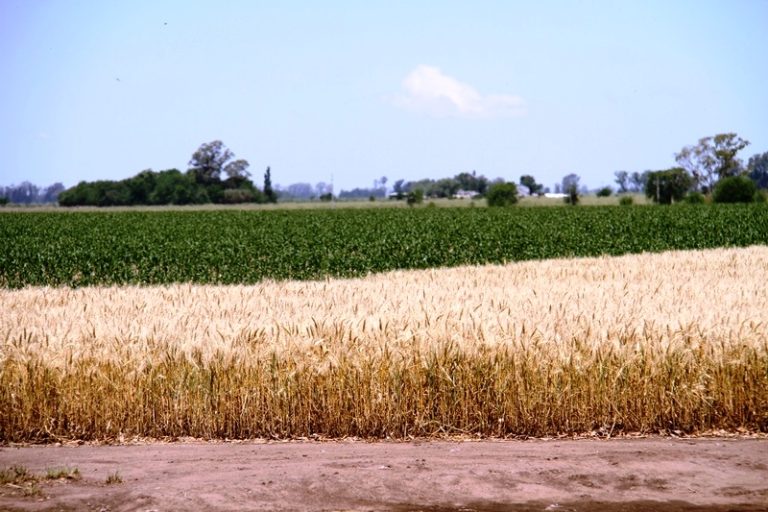 Las comunidades rurales son custodios de la biodiversidad de los ...