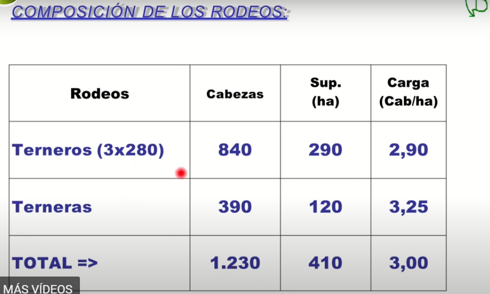 RODEO VACUNO - Noticias AgroPecuarias