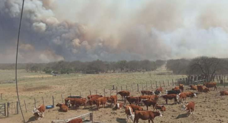 La Pampa: Funcionarios de Producción recorren zonas afectadas por ...