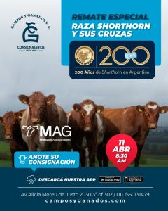 Shorthorn inició los festejos por los 200 años del arribo del 1er toro ...