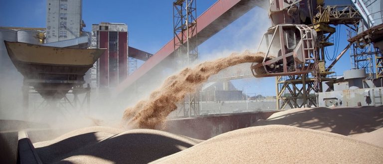 Brasil le ganó a la Argentina el 1er puesto como exportador mundial de ...