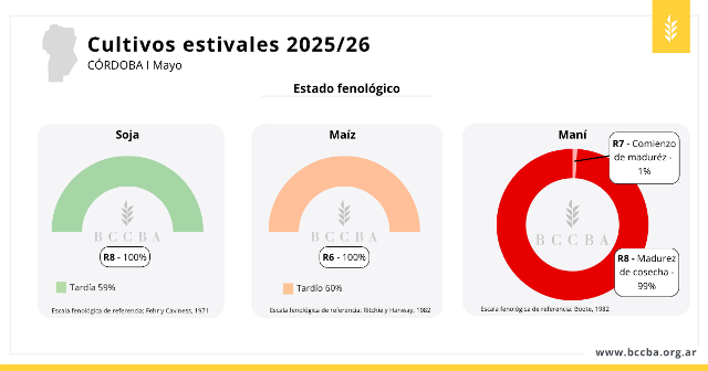 Avanza la cosecha gruesa en Córdoba – Noticias AgroPecuarias