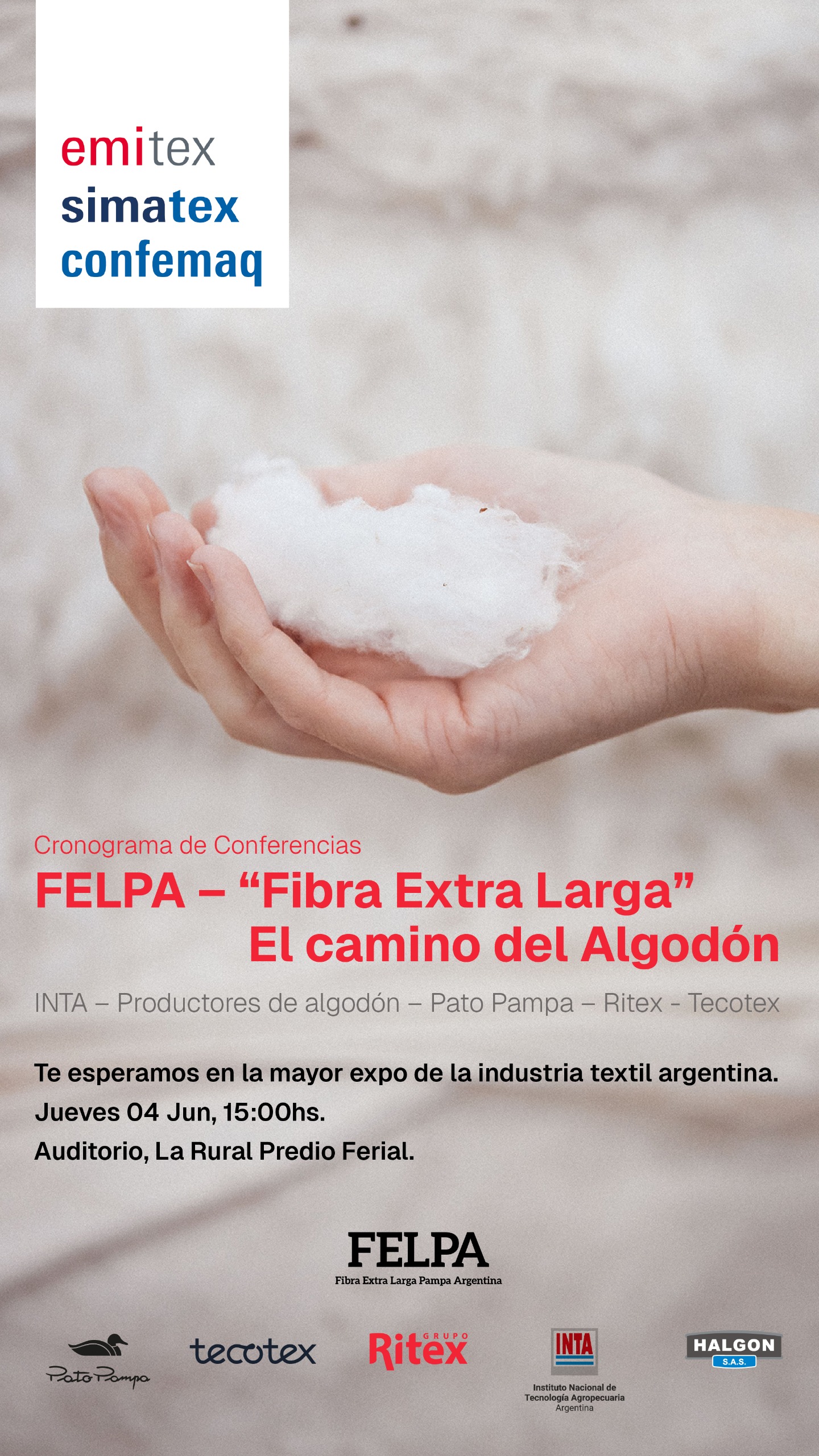 Algodón de elite: el proyecto Felpa busca destronar al algodón egipcio ...